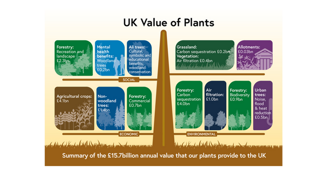 DEFRA Plant Biosecurity Strategy, 2023 - 2028: Summary - Tree Guard ...