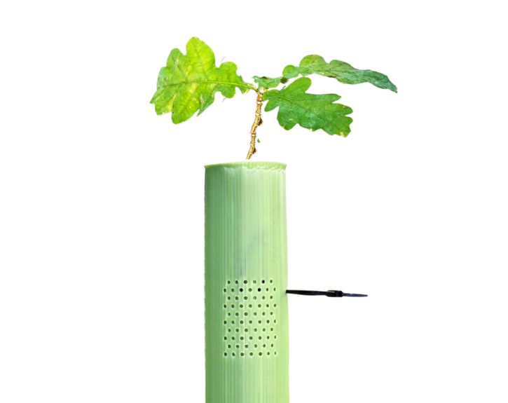 Vigilis-VentAir Tree Shelters - Tree Protection with Increased Airflow
